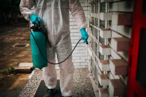 Winter Pest Prevention for Homes & Businesses